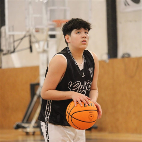 Mateus Levi Serrano Alves